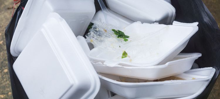 San Diego City Bans Polystyrene Foam Containers | La Prensa San Diego